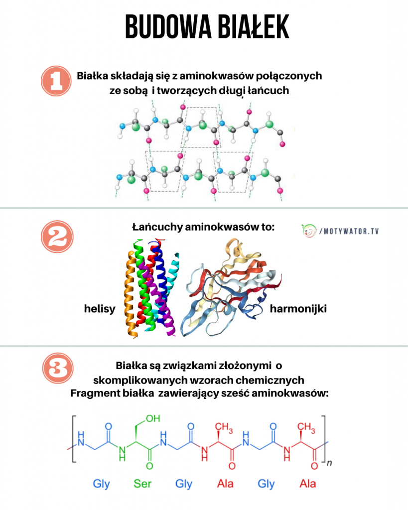 glicyna – motywator.tv